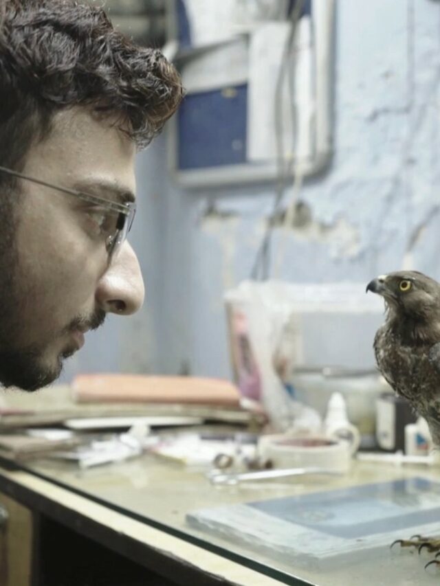 Shaunak Sen "All That Breathes" Shortlisted for Oscars 2023 - Admissions