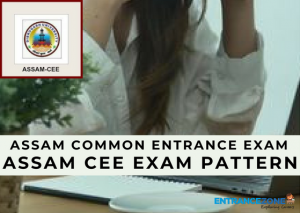 Assam CEE 2021 Exam Pattern: Question Format